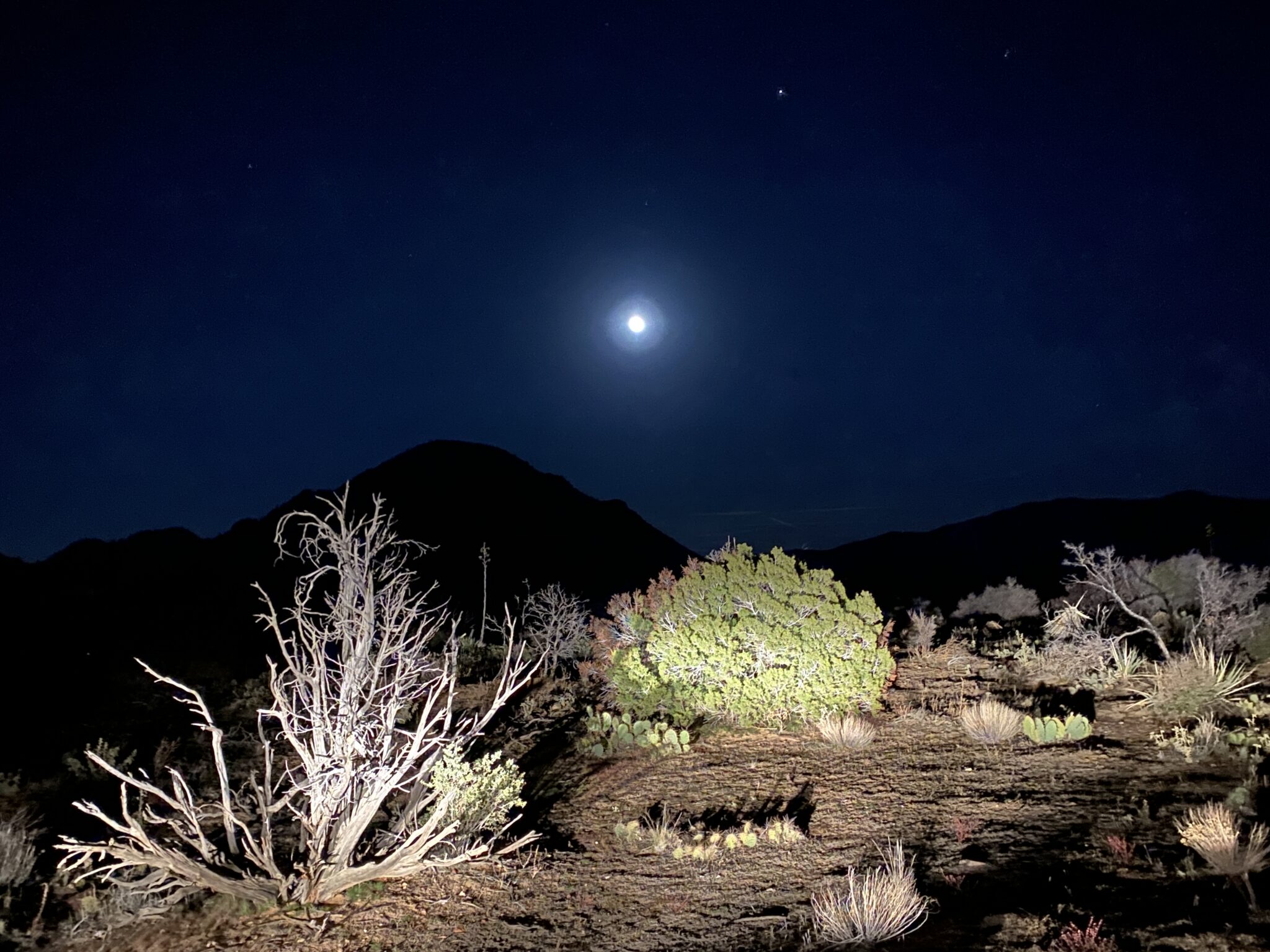Star Party in the Mountains - Desert Mountain