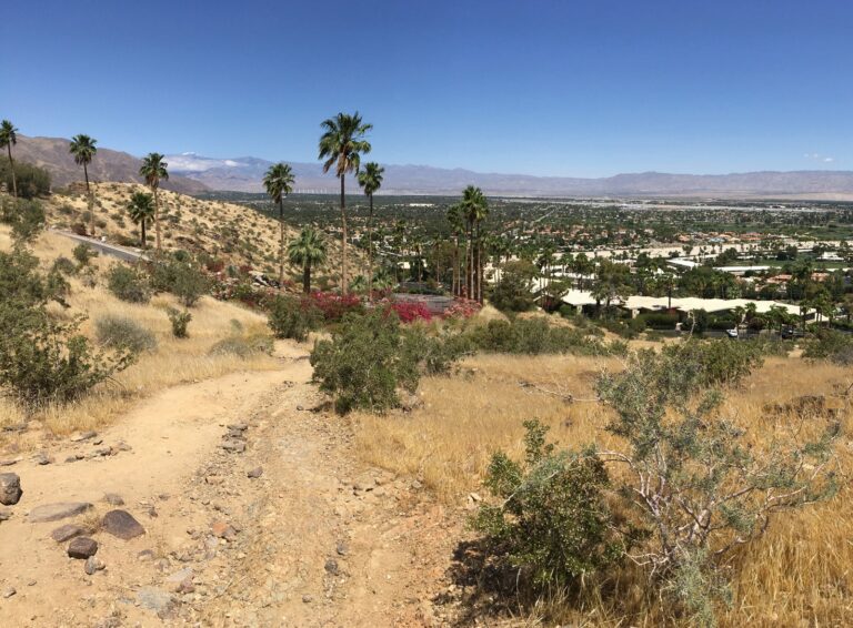Araby Trail Hike - Desert Mountain