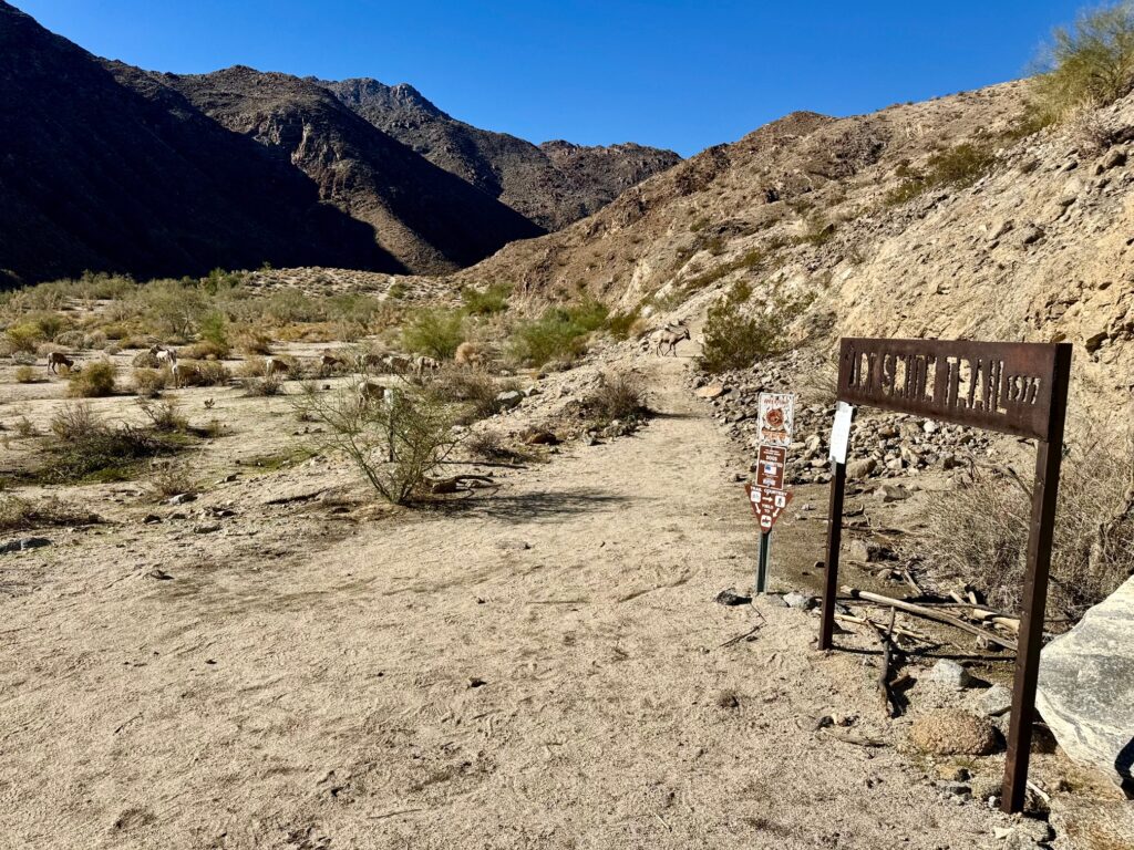 Art Smith Trail Hike - Desert Mountain