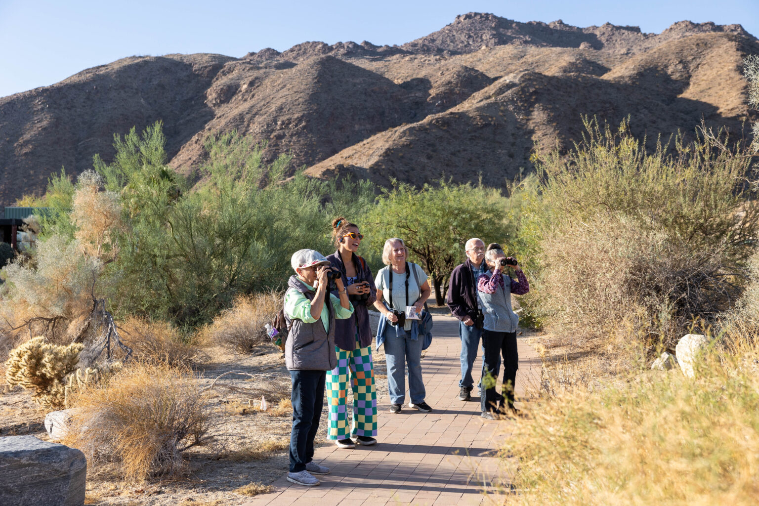 Birding Walk-About at the Monument Visitor Center - Desert Mountain